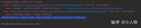 attributeerror type object mobilenetv2 has no attribute training 知乎