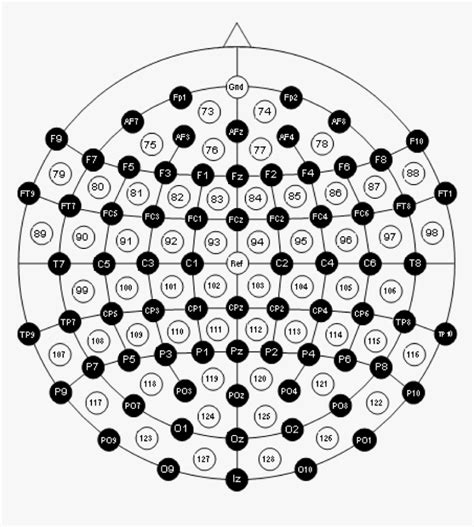 Channel Eeg Cap HD Png Download Transparent Png Image PNGitem