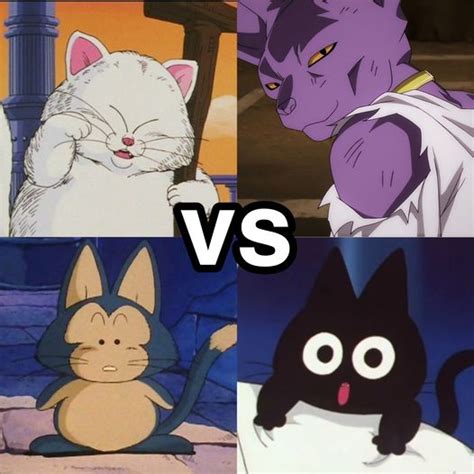 Best Dragon Ball Cat Dragon Ball Forums