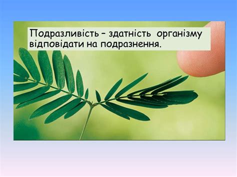 Квіткова рослина Тема 3 презентация онлайн