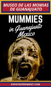 Museo De Las Momias De Guanajuato Visiting The Dead In Guanajuato