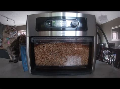 Picobrew Z First Brew Brew Insight