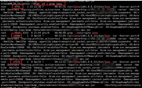 Linux查看java进程查看java进程打印内容 Csdn博客