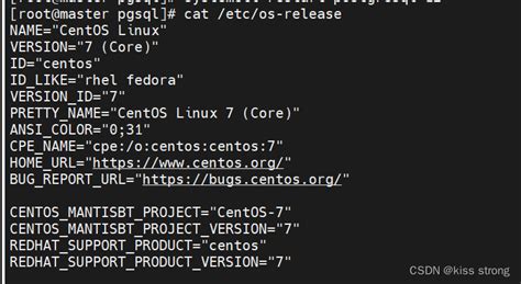 Centos7安装pg教程centos7安装pg数据库 Csdn博客