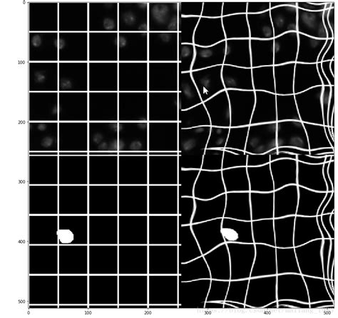 仿射和弹性变换（affine And Elastic Transform）的python实现图像增强弹性变换 Csdn博客