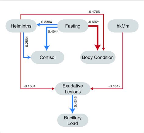 Refined Partial Least Square Path Model Red Arrows Indicate A