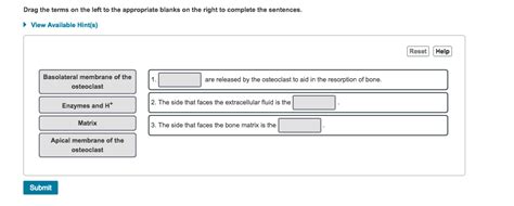 Solved Drag The Terms On The Left To The Appropriate Blanks