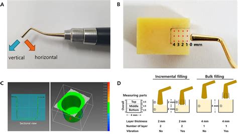 Experimental Set Up A Vibratory Resin Applicator With A Rounded End Download Scientific