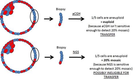 Complete Guide To PGS Testing PGT A In IVF For Embryo Screening Remembryo