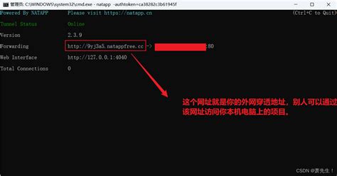 在自己电脑上编写的项目如何让别人也能访问（内网穿透）？在自己电脑上的项目如何让别人在线访问 Csdn博客