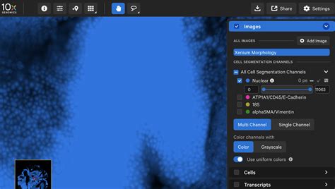 Nucleus And Cell Segmentation Algorithms Official 10x Genomics Support