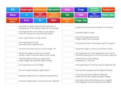 Microscope Calculations Teaching Resources