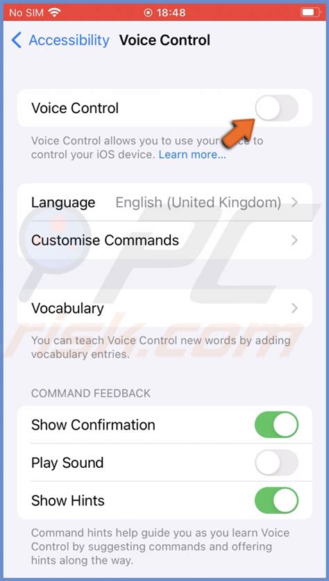 Unlock Your IPhone Screen Using The Voice Control Feature