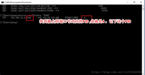 解决端口占用问题（port is already in use） port already in use csdn博客
