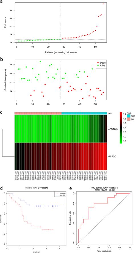 A Two Gene Prognostic Signature Identified And Stratified Analysis In Download Scientific