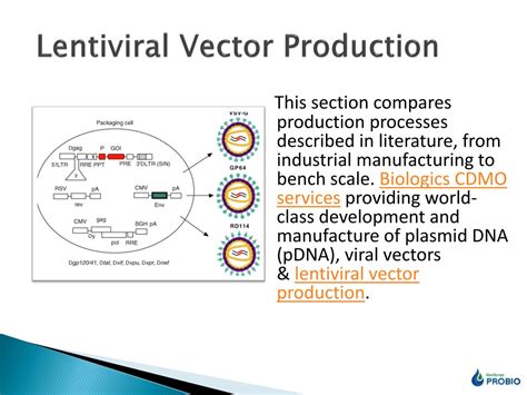 Ppt What Is Lv Vector Systems Powerpoint Presentation Free Download Id 11369352