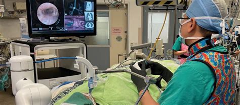 Superior Bronchoscopy Training Outcomes With Ai Navigation