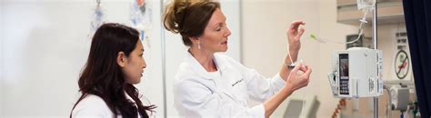 Undergraduate Programs California State University Long Beach