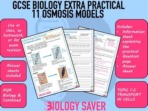 Gcse Biology Practical 11 Osmosis Models Teaching Resources
