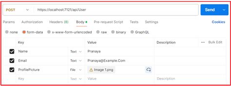 Model Binding Using Fromform In Asp Net Core Web Api Dot Net Tutorials