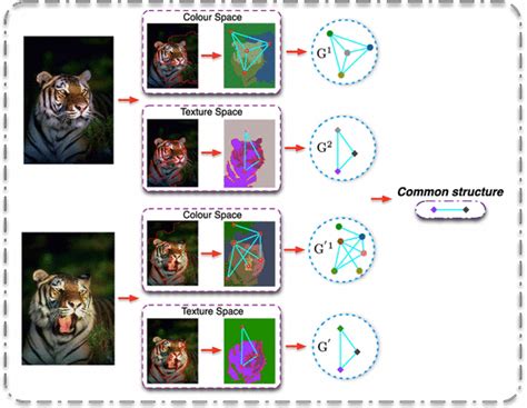 an example of multi graph view representation for images where each