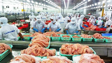Nhìn lại năm với sự giảm xuất khẩu cá tra sang EU