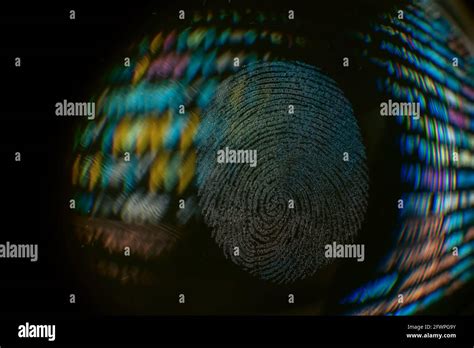Nice Fingerprint On The Crumpled Background Of The Code Abstract Computer Script Code Software