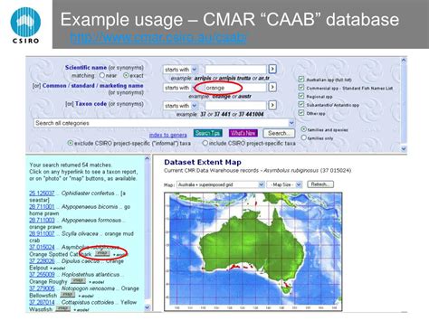 Ppt Rapid Spatial Indexing And Web Mapping Using The â€œc Squaresâ€ Global Grid Powerpoint