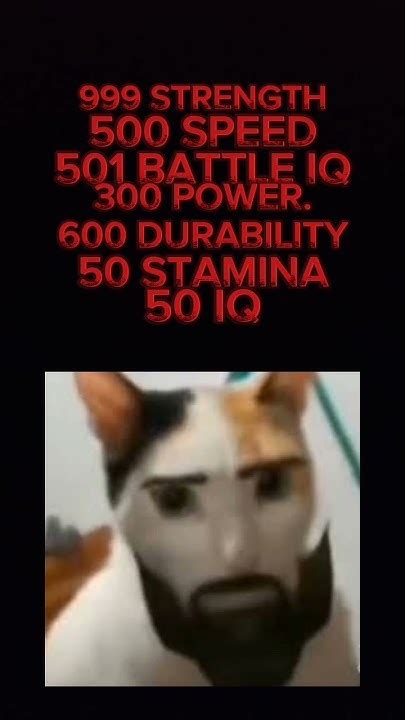 Cat Stats Part 2 Youtube