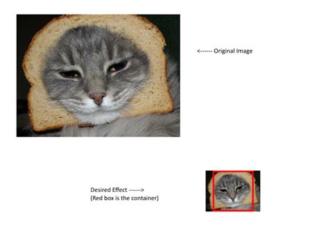 jquery css scale an image and fill the container stack overflow