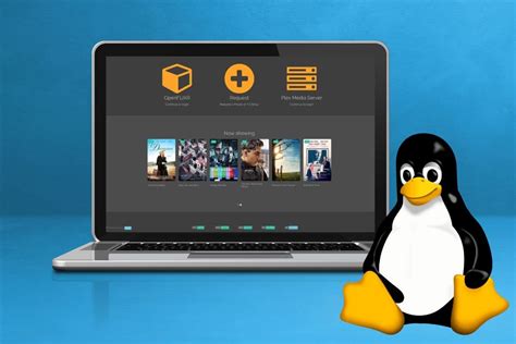 Video Streaming Server Linux At Hector Dwight Blog