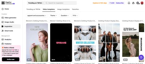 Organic Ecommerce Sales Strategies For Beginners