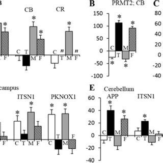 Sex And Genotype Differences In Levels Of Selected Proteins In Cortex Download Scientific