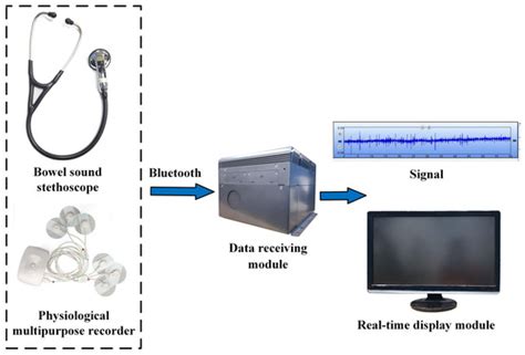 Symmetry Free Full Text A Human Defecation Prediction Method Based On Multi Domain Features