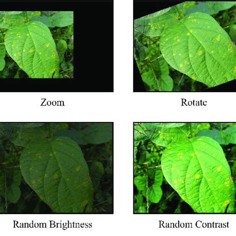 The Illustration Of Different Augmentation Methods Download
