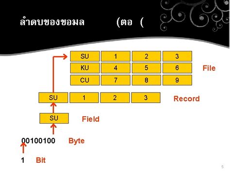 File Processing 1 Data Hierarchy Bit Byte Field
