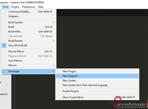 Crear Snippets Sublime Text Simplifica Y Aumenta Tu Productividad