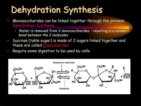 Biochemistry Ppt Download