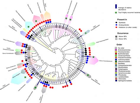 Dendrogram Tree Of Life Of 97 Bacteria With High Percentages Of Download Scientific Diagram