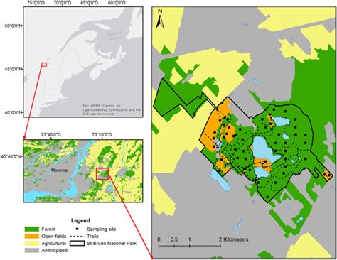 Borrelia Burgdorferi Plos One