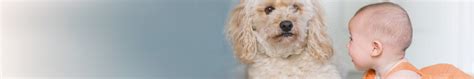 website redevelopment boosts your results hammerhead