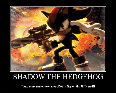Shadow The Hedgehog Quotes Quotesgram