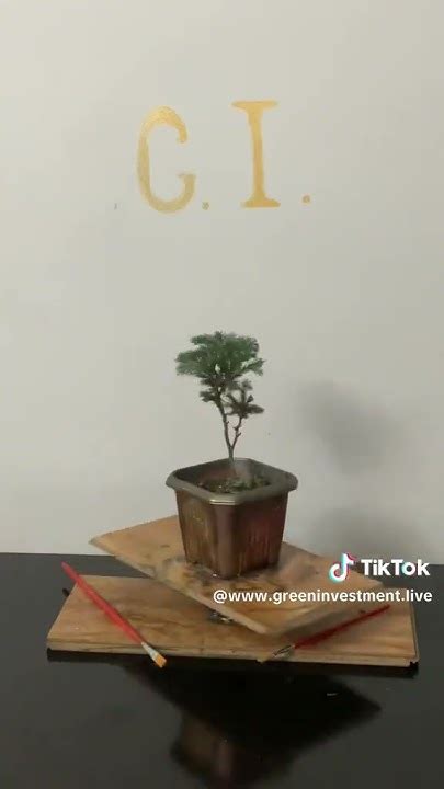 ჩვენი ნამუშევარი Youtube