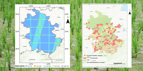 Improved Paddy Rice Classification Utilising Sentinel 12 Imagery