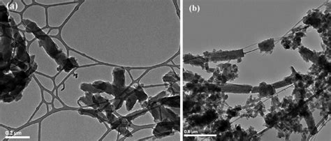 Charge Transport Properties Of Water Dispersible Multiwall Carbon Nanotube Polyaniline