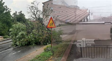 ВИДЕО Силно невреме во Велес ветерот корнеше дрвја сообраќајот во