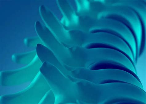 2020 Phd Successes Biomaterials And Tissue Engineering Faculty Of