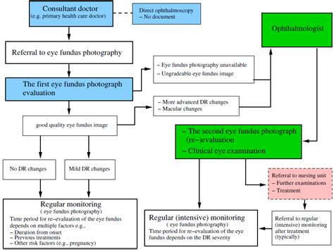 2 This Ow Chart Suggests For Monitoring And Diagnosing Dr Eye Download Scientific Diagram