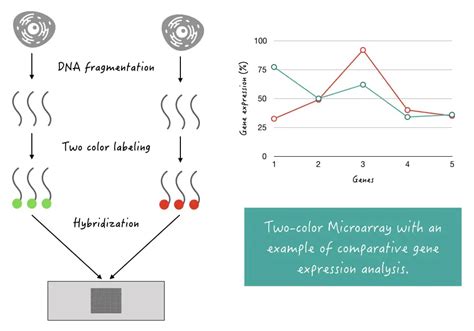 one color vs two color microarray how to choose the right one