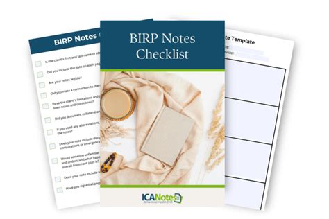 BIRP Notes Guide And Sample BIRP Notes